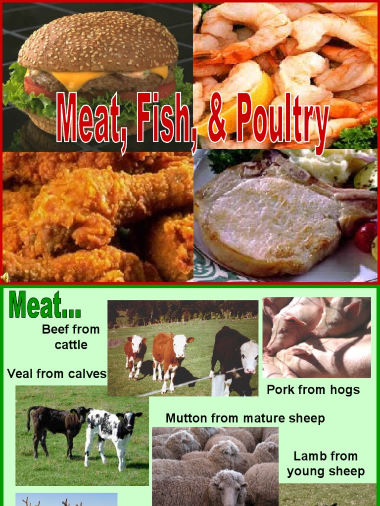 87 Meat Poultry Fish Seafood | PDF