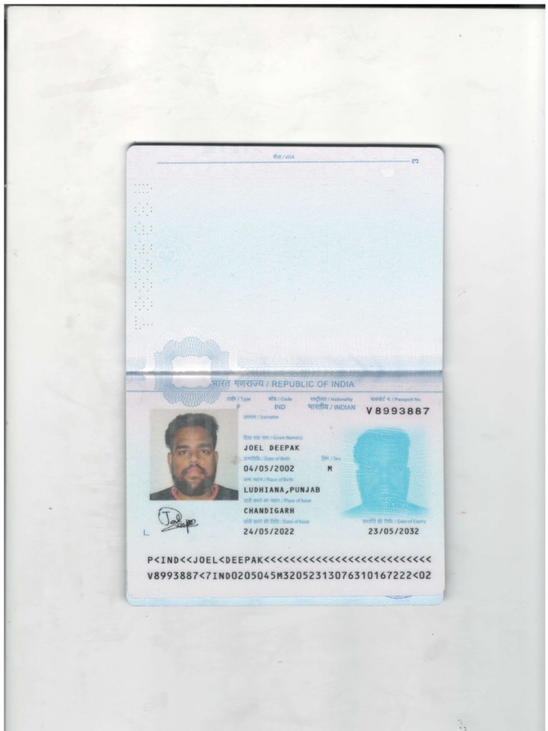 Joel Passport | PDF