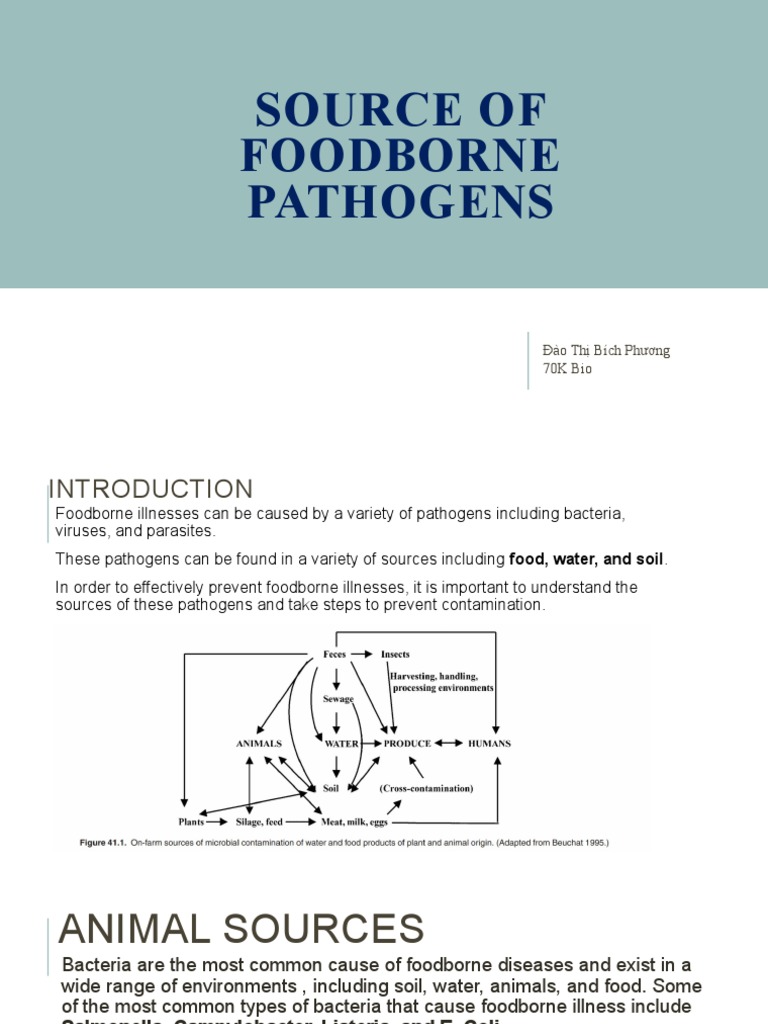 Source of Foodborne Pathogens | PDF | Foodborne Illness | Pathogen