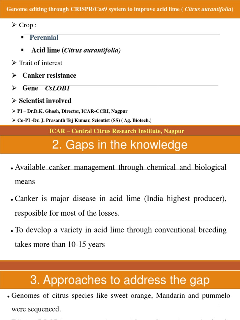 Template Genome Editing - Ccri | PDF | Science & Mathematics
