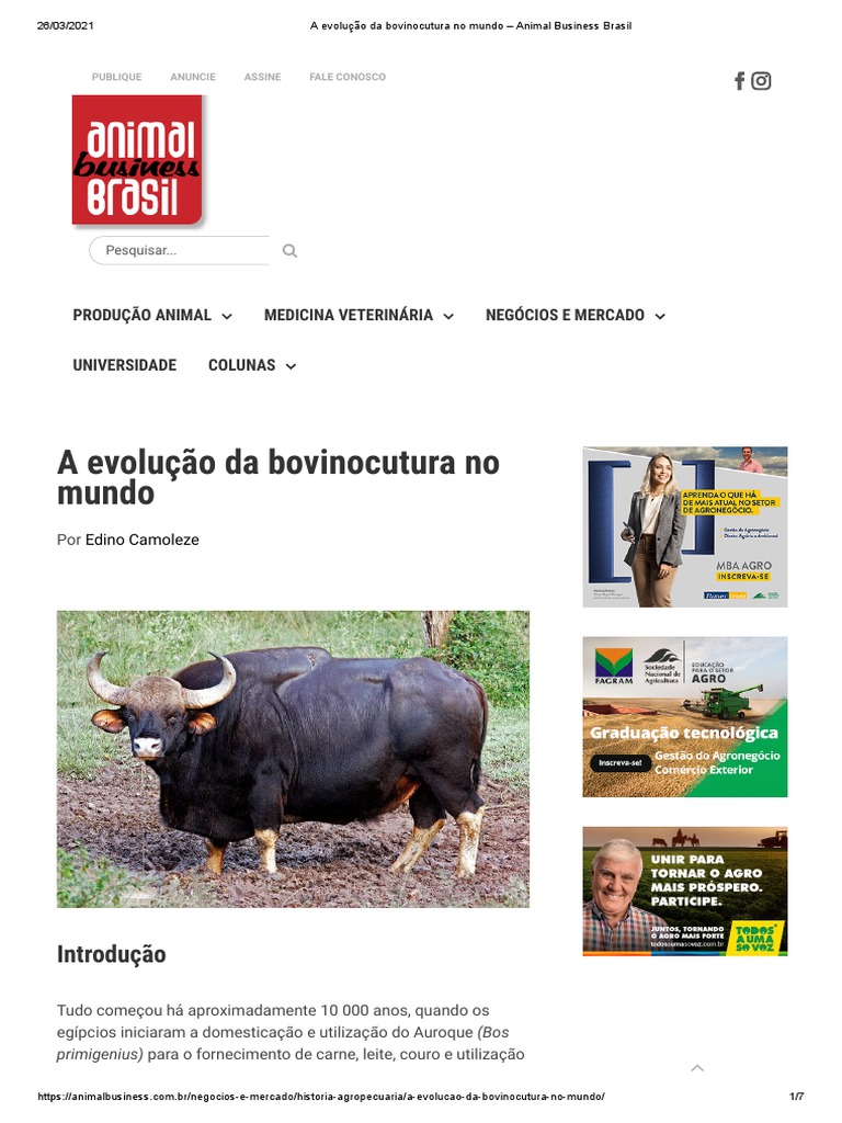 Semelhanças entre o Gauro e o Auroque | PDF