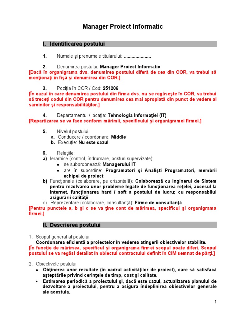 Manager Proiect Informatic | PDF