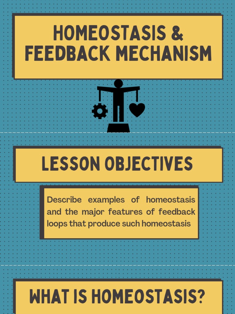 Lesson 6 Homeostasis and Feedback Mechanism | PDF