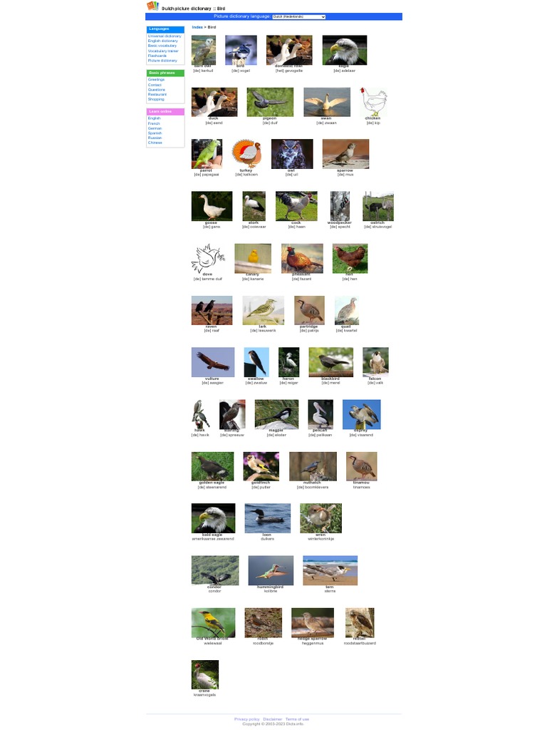 WWW - Dicts - PDF Bird | PDF | Birds | Ornithology