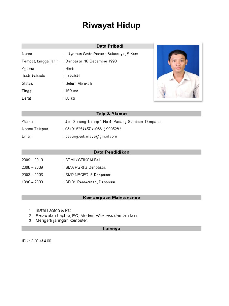 CV Indo | PDF