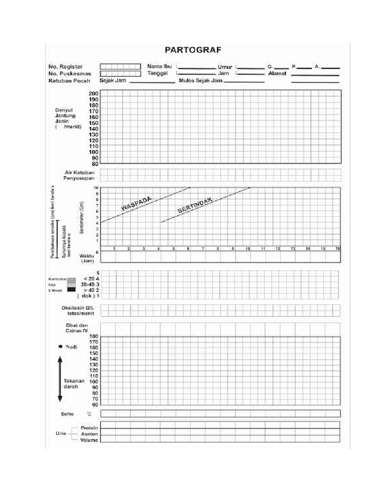 Partograf | PDF