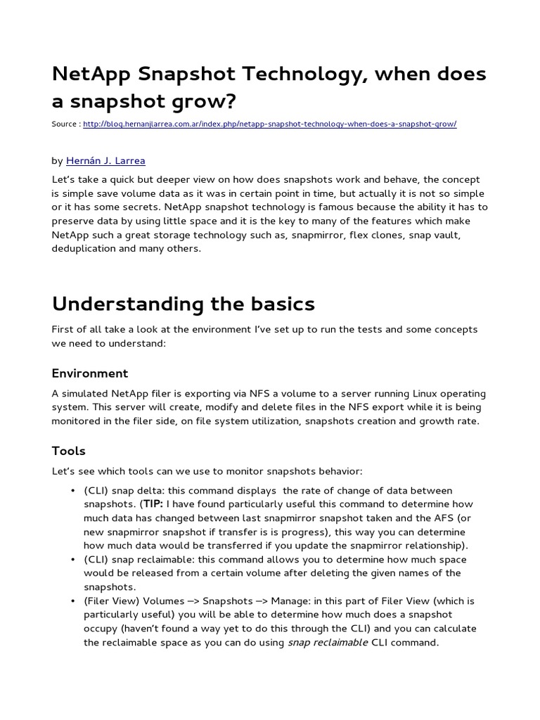 NetApp - SnapShot | PDF | Computer File | File System