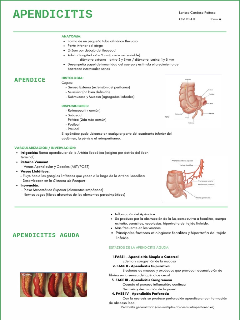 APENDICITIS | PDF | Especialidades Medicas | Medicina CLINICA