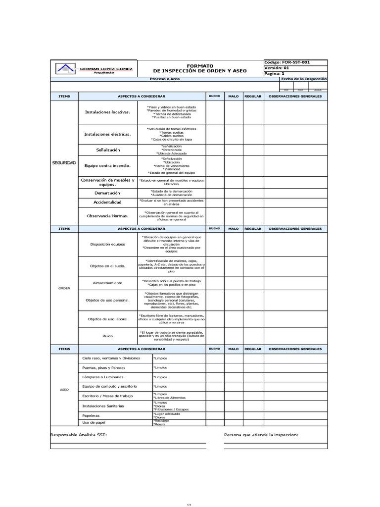 Formato Inspecciones Orden y Aseo | PDF