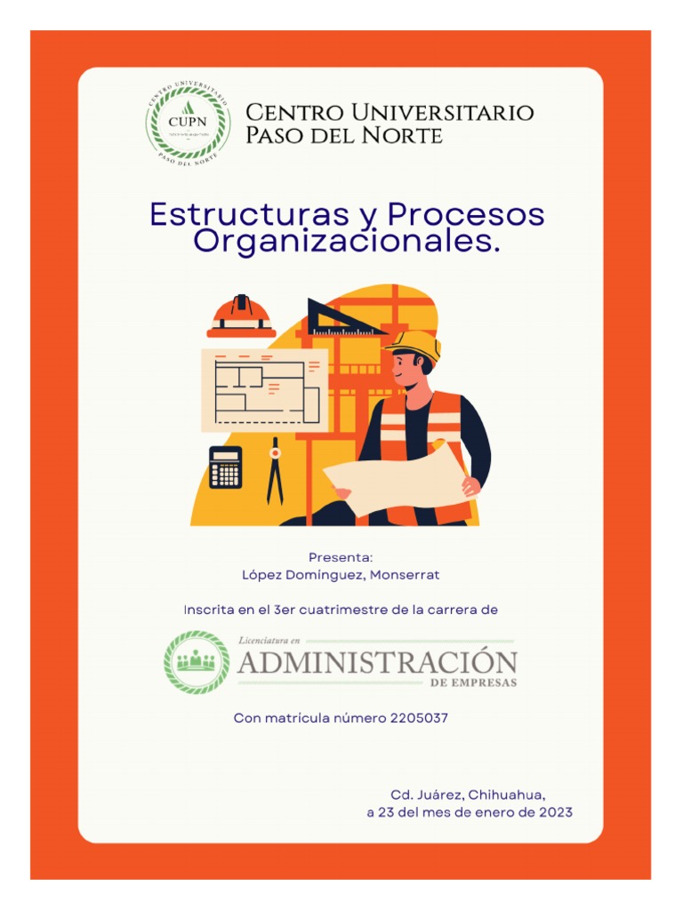 Estructuras y Procesos Organizacionales | PDF