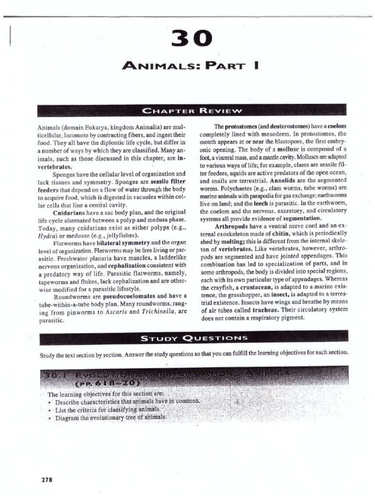 WS 30 - Compressed | PDF