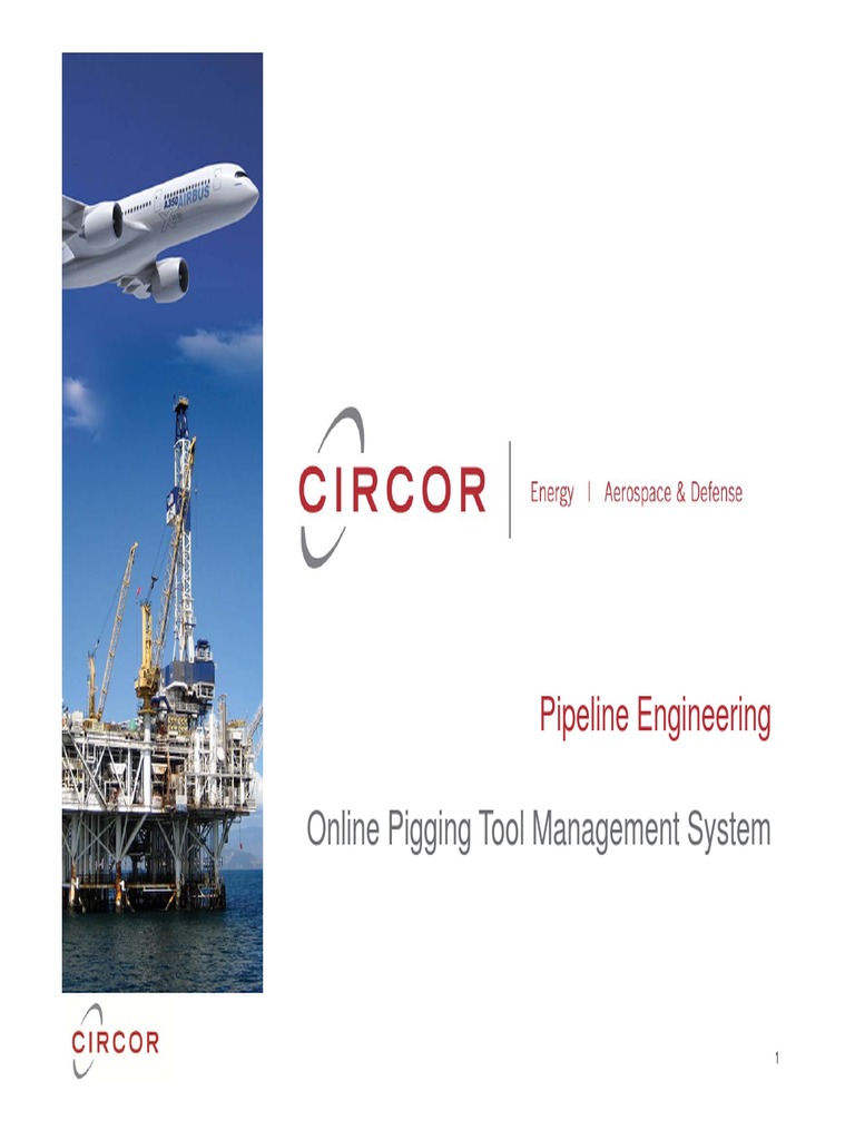 Online Pigging Tool Management System | PDF