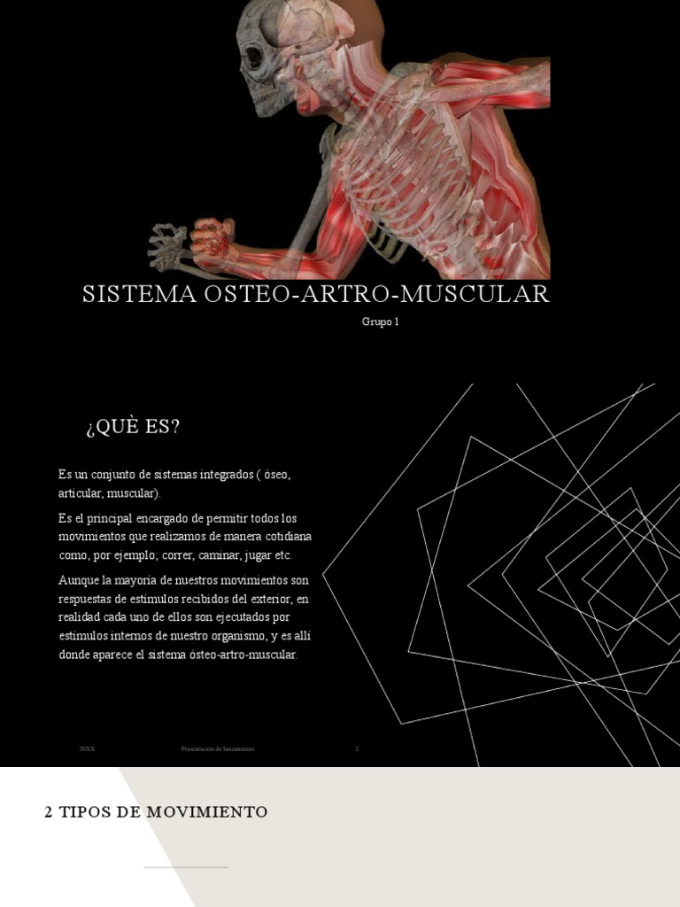 Sistema Osteo-Artro-Muscular | PDF | Articulación | Músculo esquelético