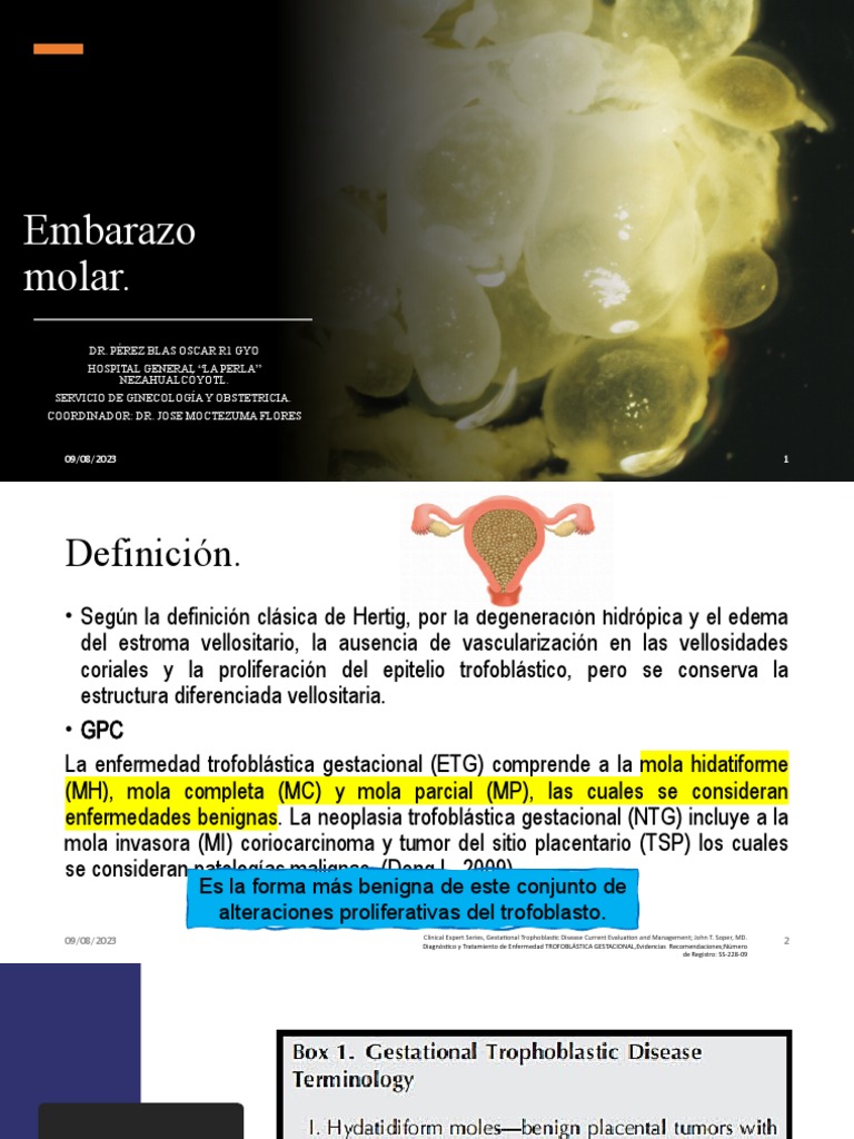 Embarazo Molar | PDF | El embarazo | Especialidades Medicas
