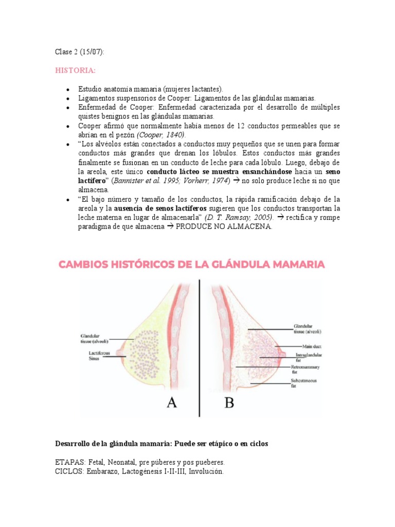 Clase 2 | PDF