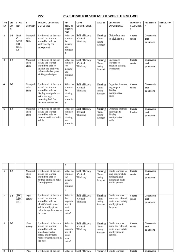 PP2 Psychomotor Scheme Term 2 | PDF | Learning | Neuroscience