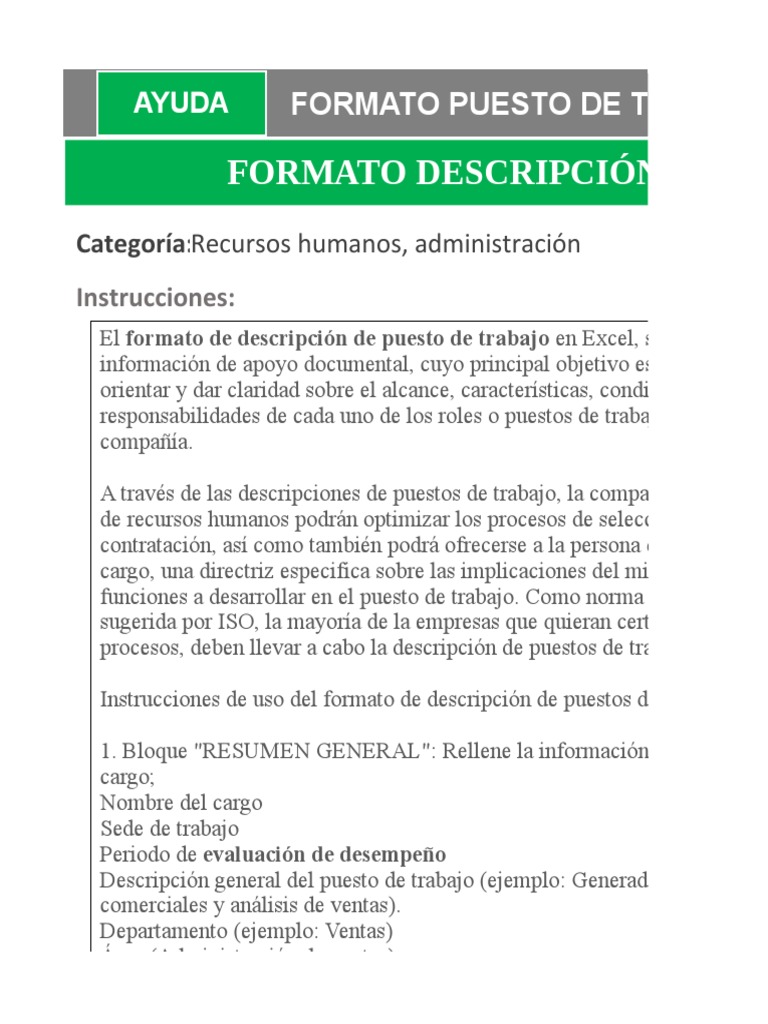 Formato de Descripcion de Puestos | PDF | Gestión de recursos humanos | Microsoft Excel