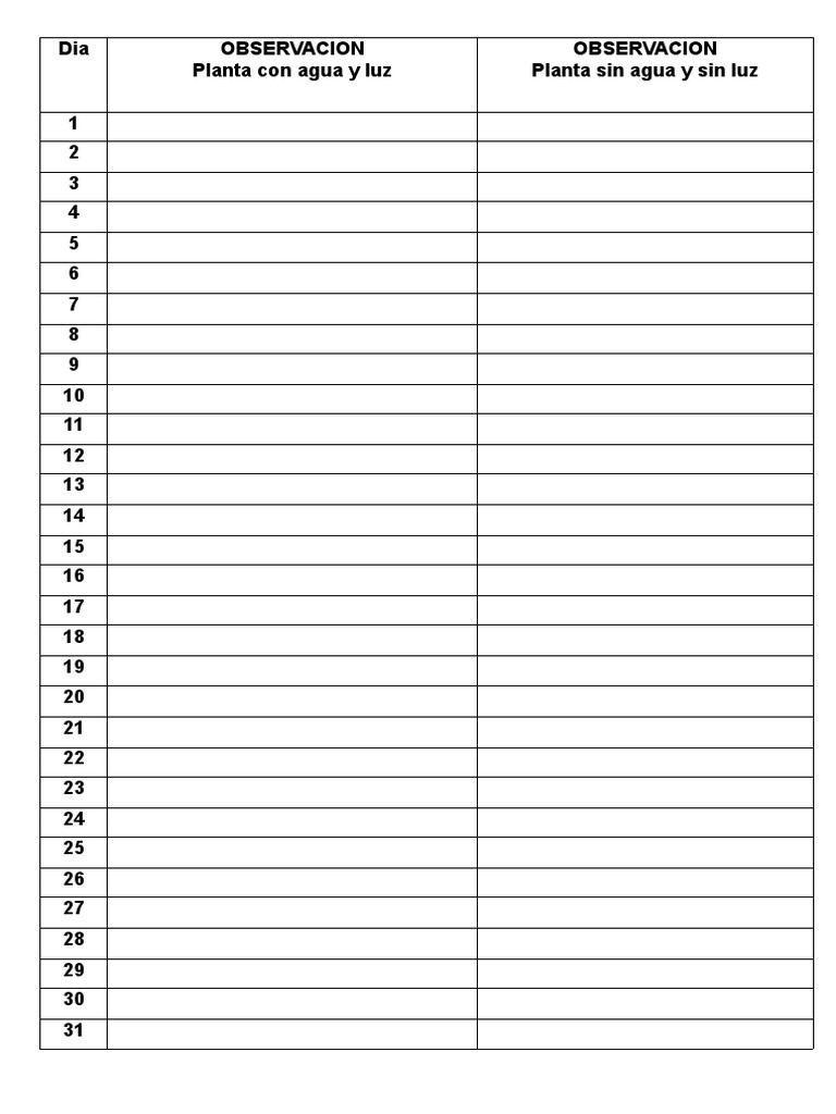 Observaciones de Las Plantas | PDF