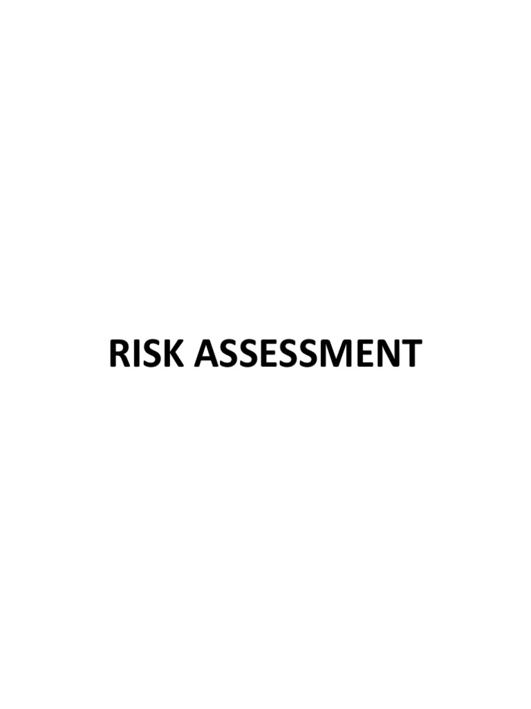 Risk Assessment | PDF