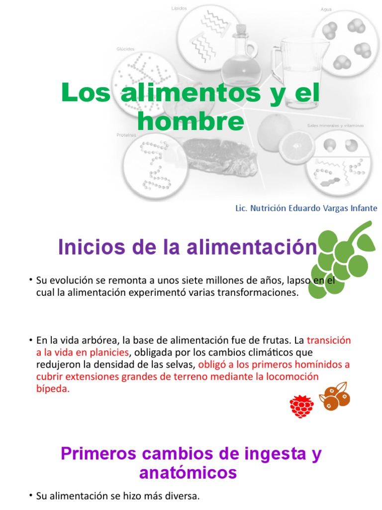 Evolución de la Alimentación Humana | PDF | Alimentos | Nutrición