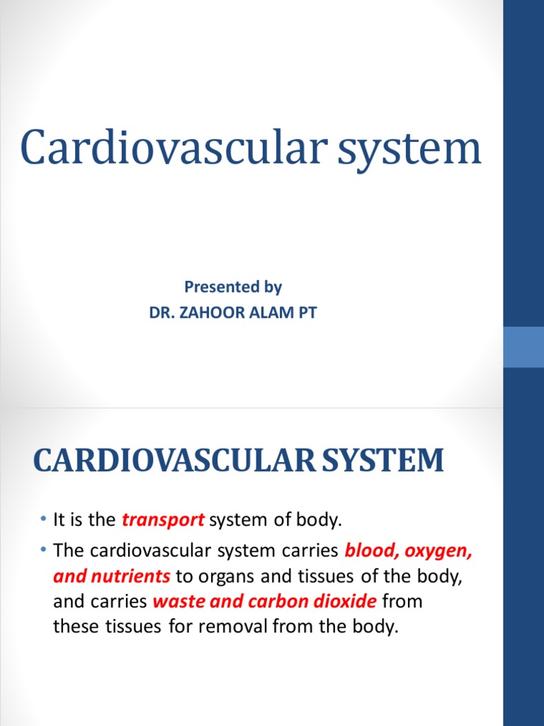 Cvs System | PDF | Artery | Vein