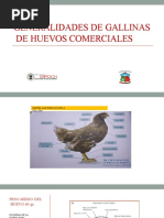 Sistema de Producción de Leche en Granjas Bovinas Familiares | PDF | Vacas | Leche