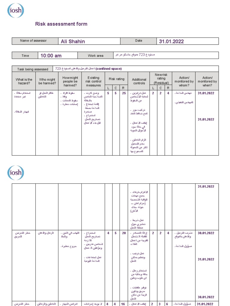 Risk Assessment Project - Ali Shahin (Repaired) | PDF