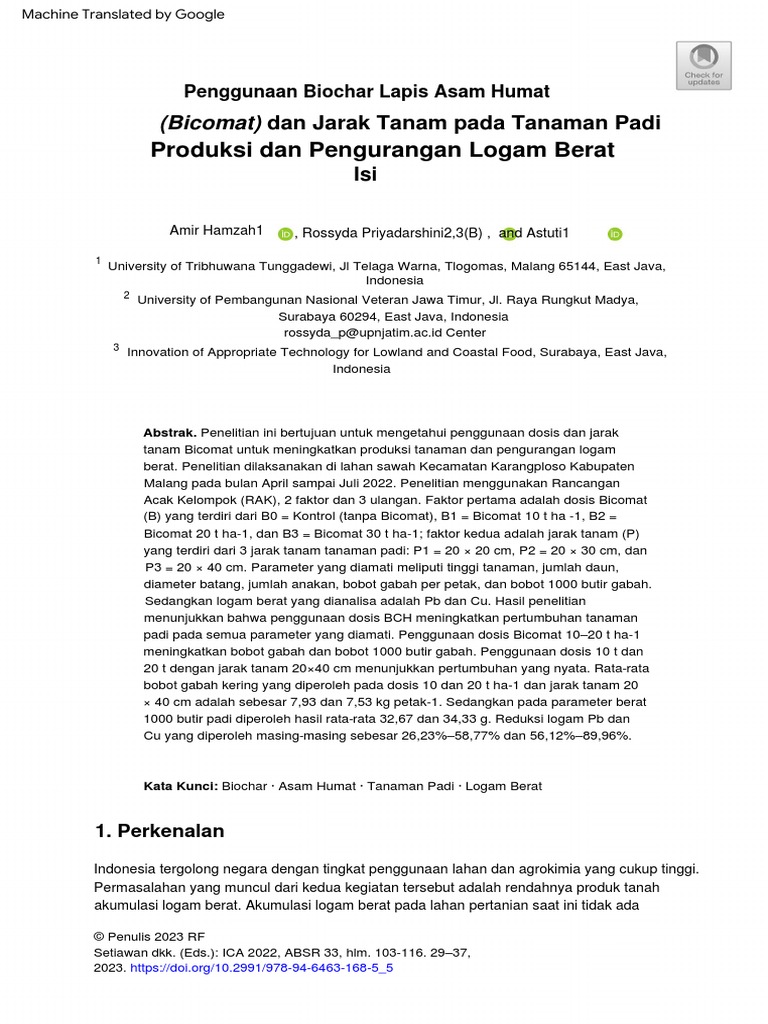 Jurnal Pak Amir | PDF