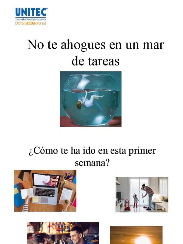 NO TE AHOGUES CON TUS TAREAS | PDF