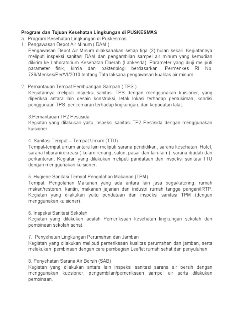 Program Kesehatan Puskesmas | PDF