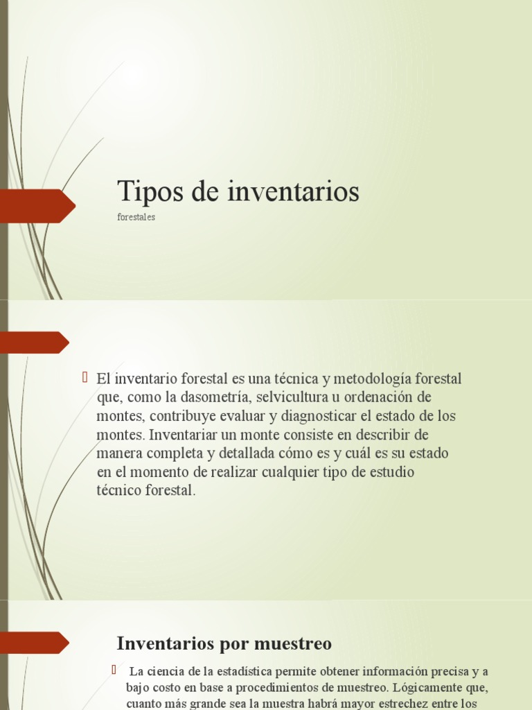Tipos de Inventarios | PDF