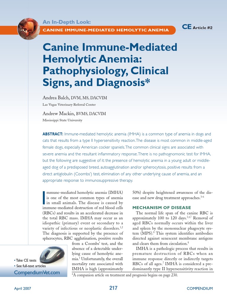 Canine Immune-Mediated Hemolytic Anemia Pathophysiology Clinical Signs ...