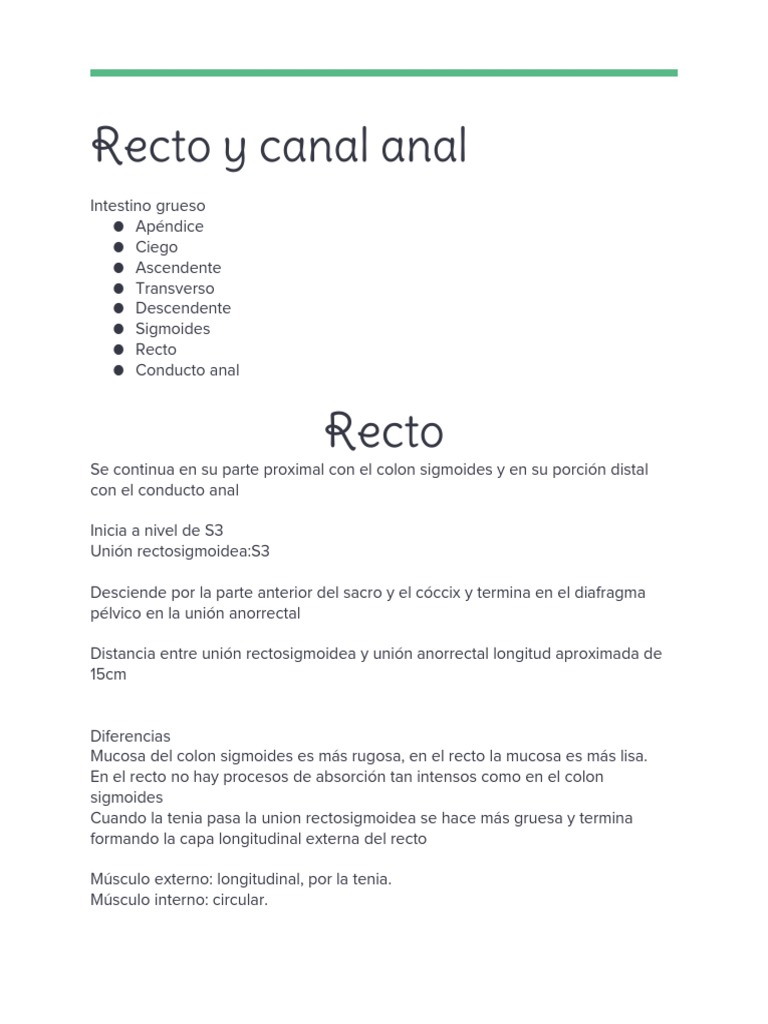 Recto y Canal Anal | PDF | Recto | Intestino grueso
