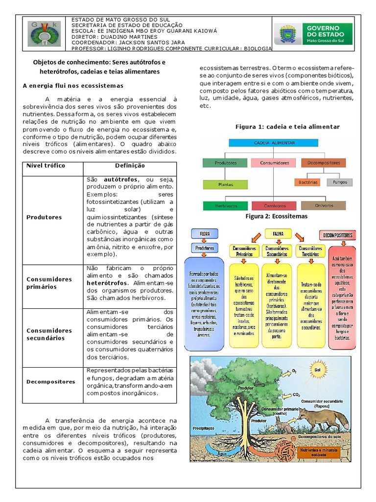 31-05 - Atividades Biologia Eja 2 Fase | PDF