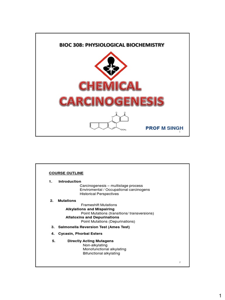 CHEMICAL CARCINOGENESIS HANDOUT 2023 (1) | PDF