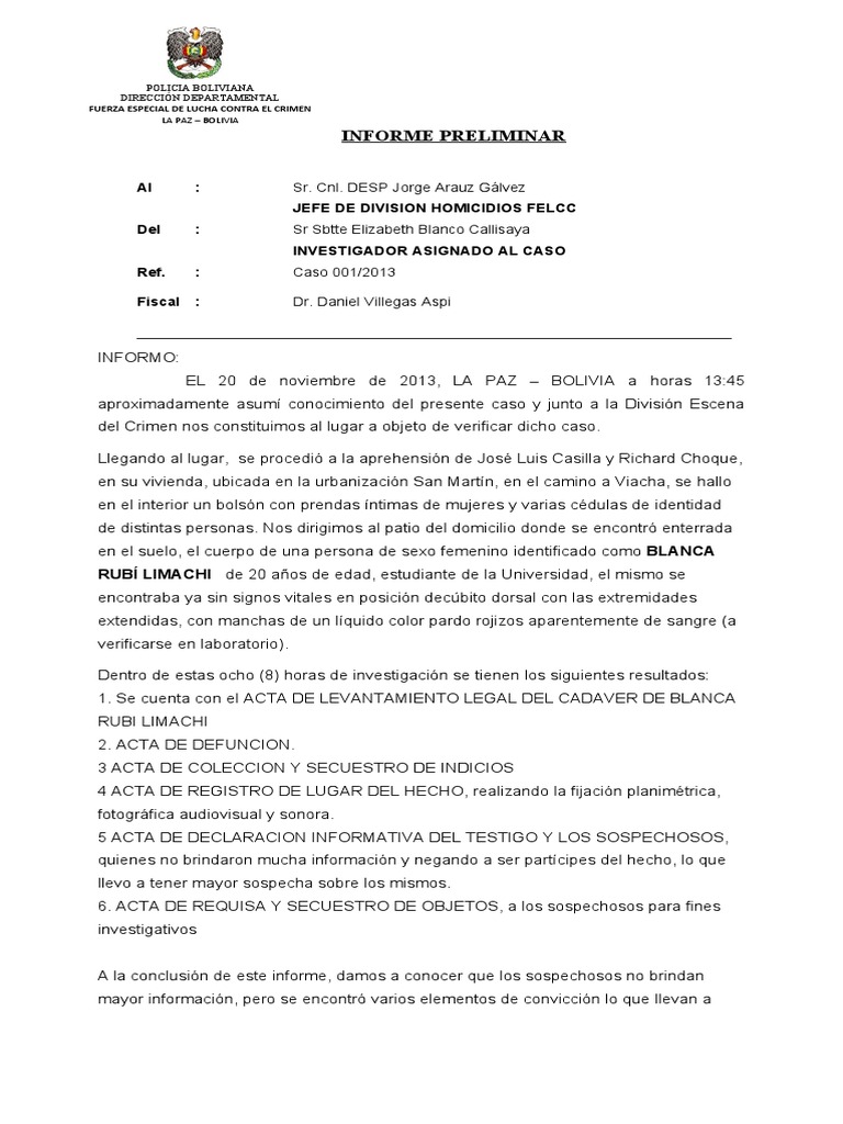 Informe Preliminar 001 | PDF