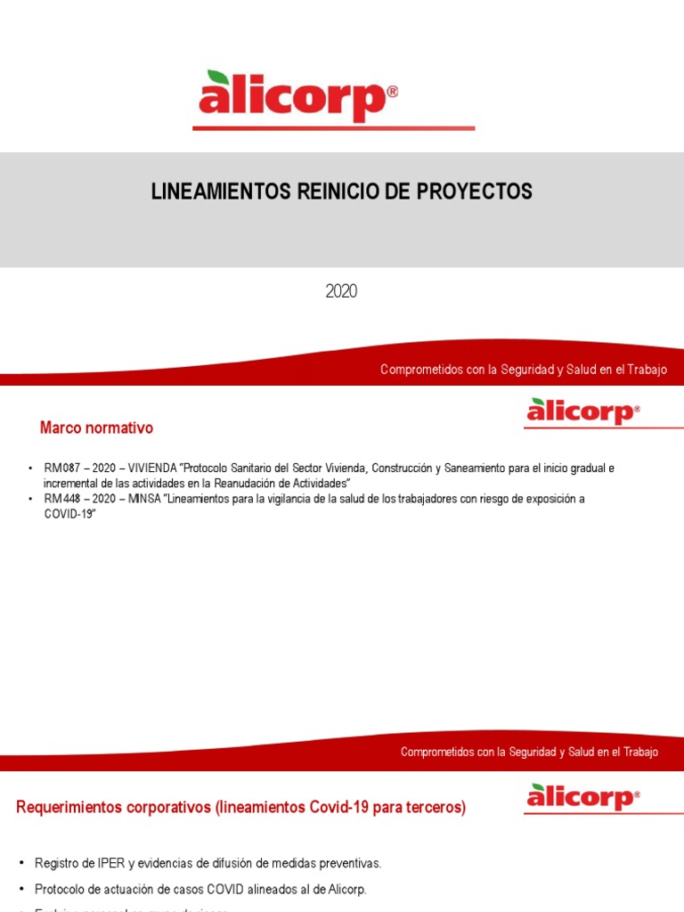 Protocolo de Continuidad de Operaciones de Proyectos Silos MCA | PDF