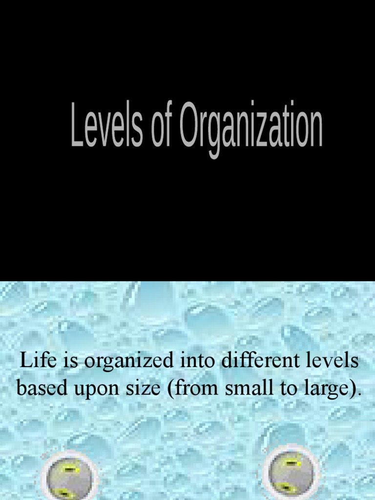 Levels of Organization | PDF | Self-Improvement