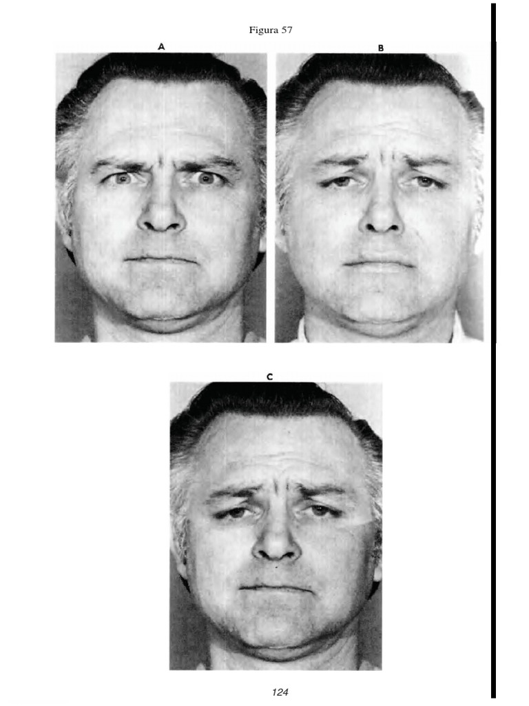 Unmasking The Faces - Paul Ekman (136-212) .En - PT | PDF | Rosto | Emoções Unmasking The Faces - Paul Ekman (136-212) .En - PT | PDF | Rosto | Emoções