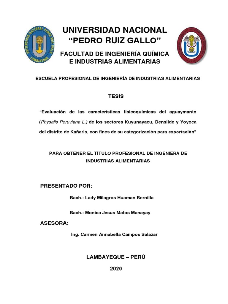 Huaman Bernilla Lady Milagros y Matos Manayay Monica Jesus | PDF