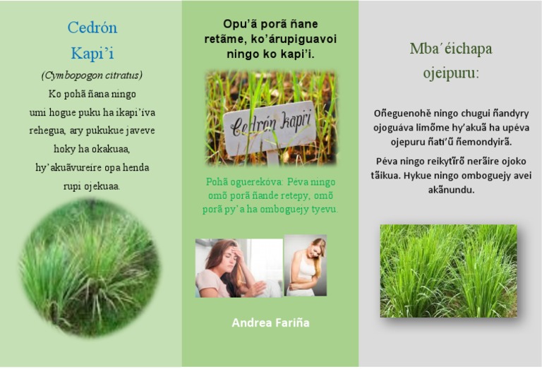 Cedrón Kapi I | PDF