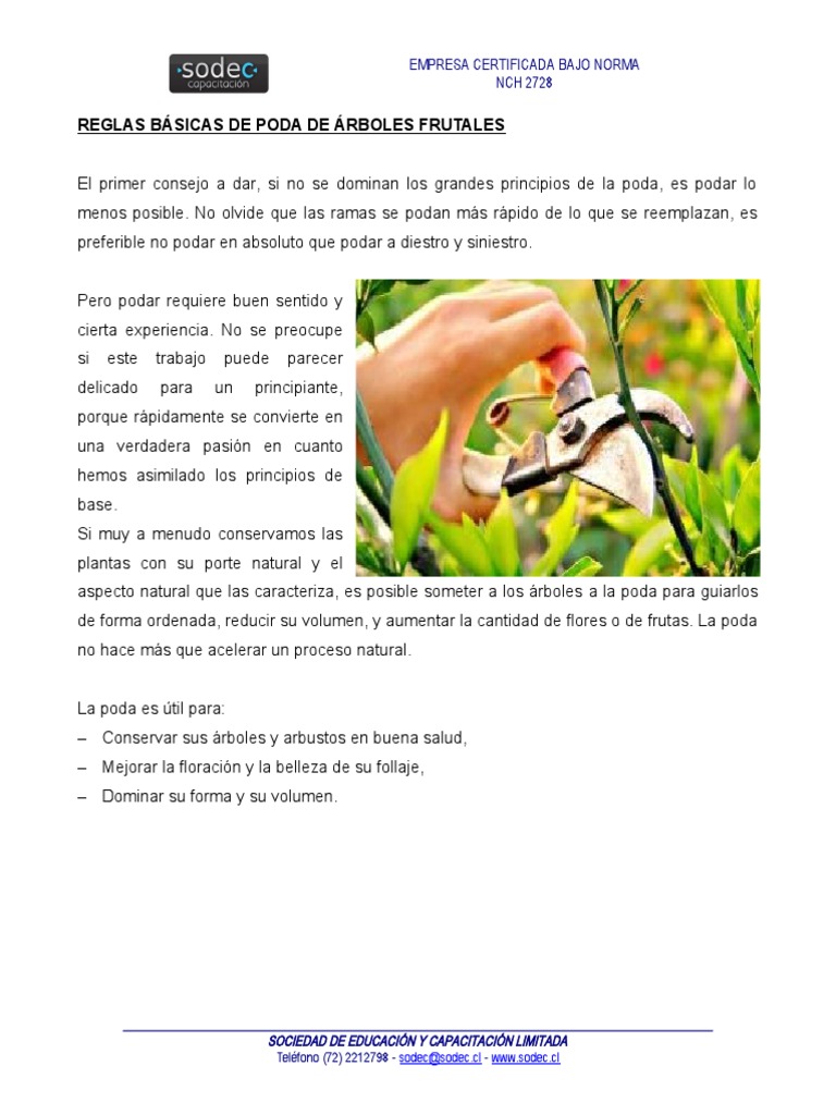 Apunte Poda | PDF