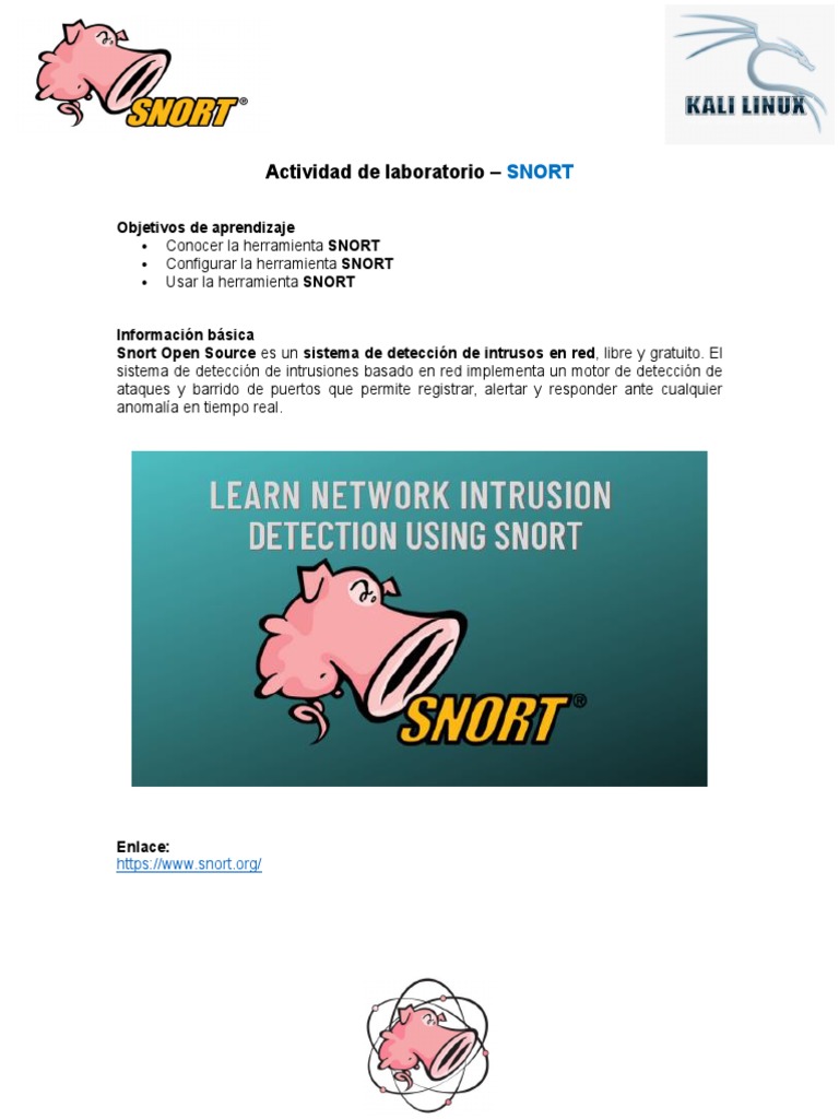 Práctica de Laboratorio - SNORT - IPS | PDF