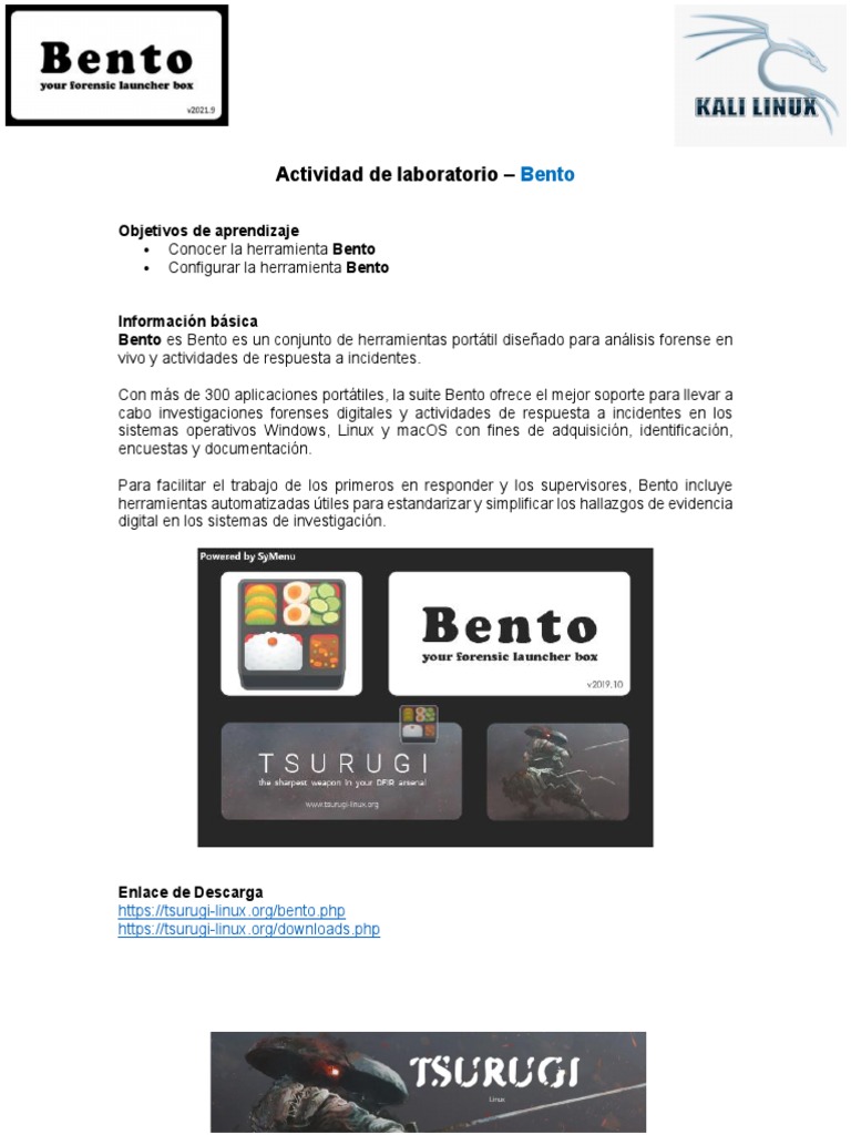 8. Práctica de laboratorio - Bento TSURUGI | PDF