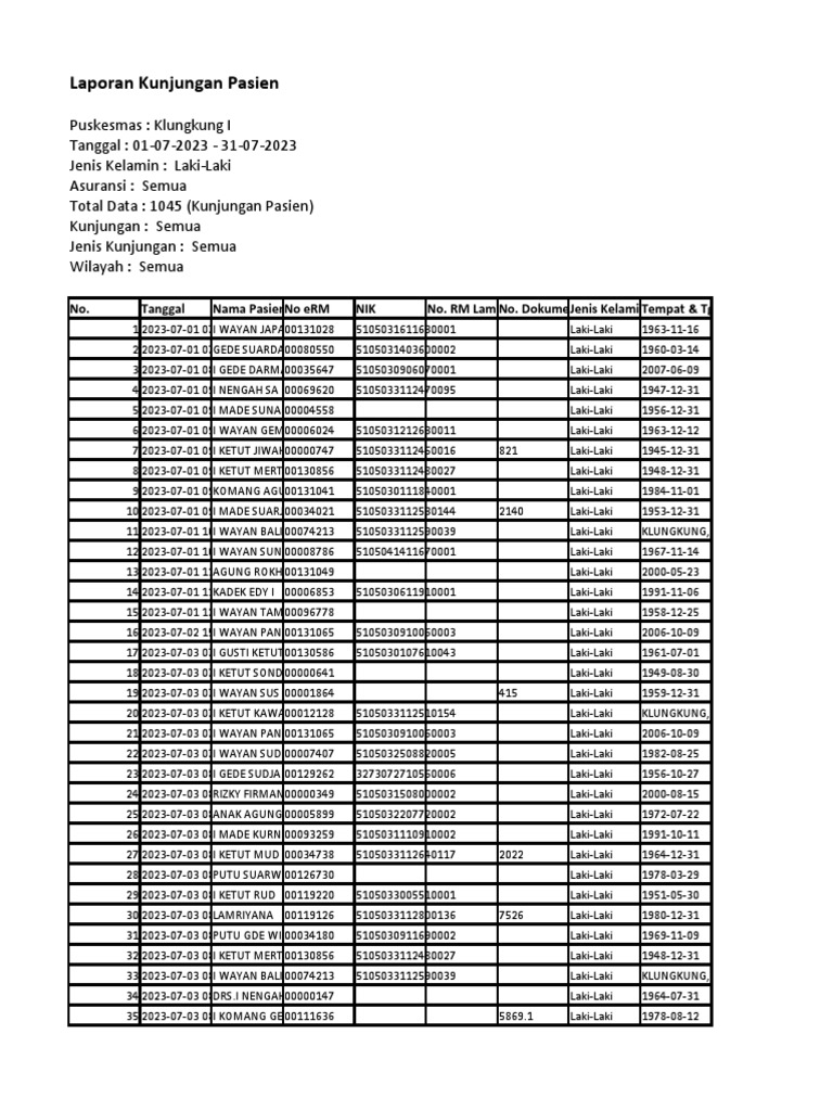 Laporan Kunjungan Pasien | PDF