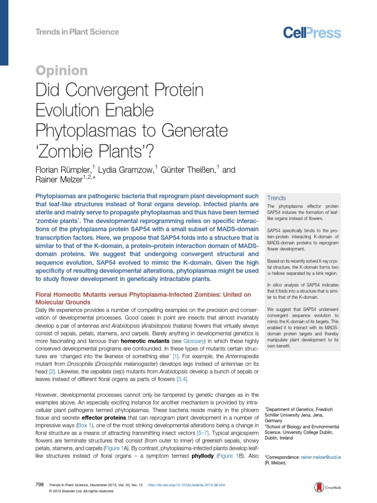 Did Convergent Protein Evolution Enable Phytoplasm | PDF | Proteins ...