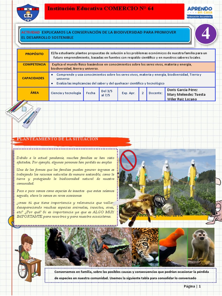 FICHA ACTIVIDAD -CYT 4° -Semana 3 al 7 | PDF