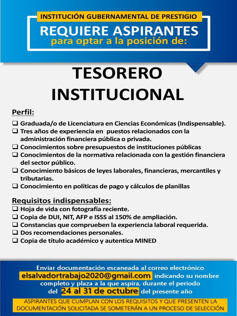 Tesorero Institucional | PDF