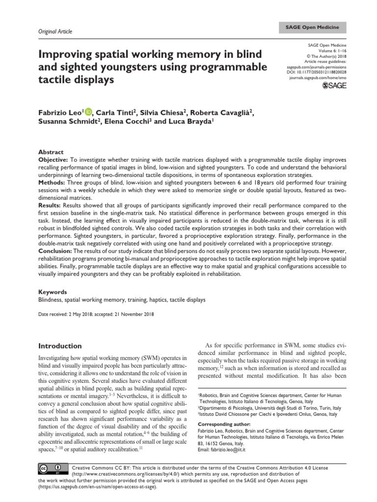 Improving Spatial Working Memory In Blind And Sighted Youngsters Using