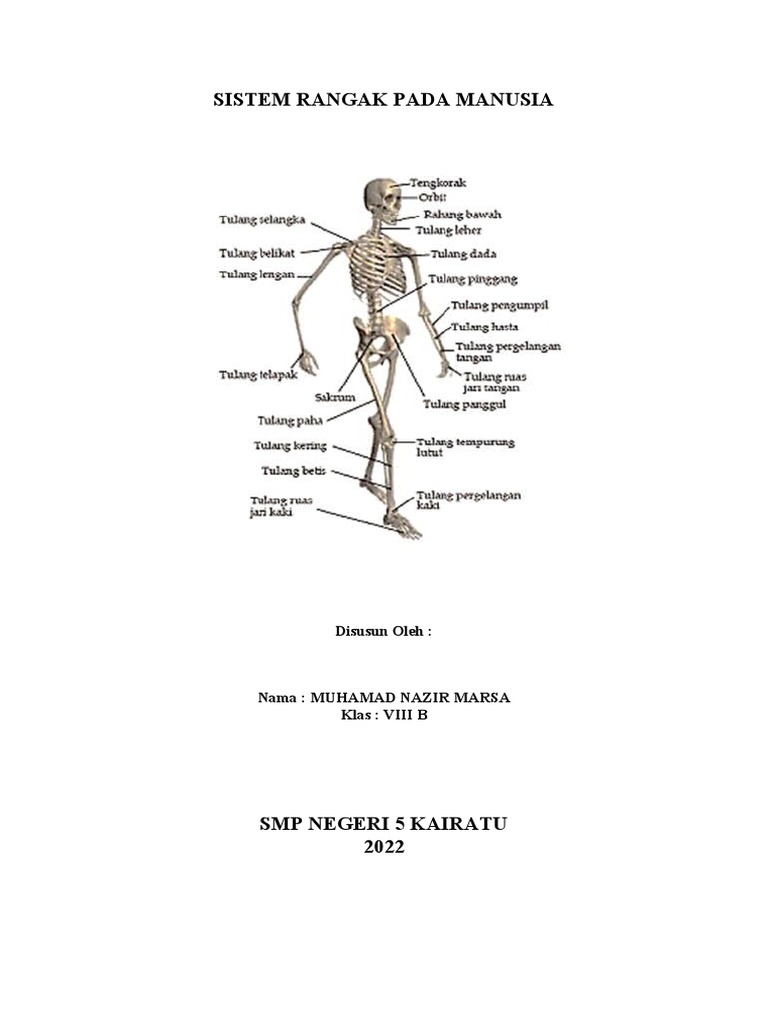 Makalah Sistem Rangka | PDF